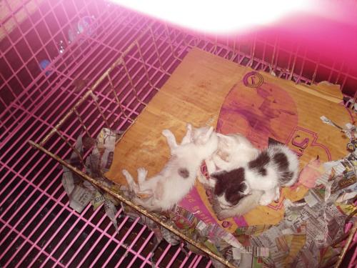 Helping to rescue the rescuer