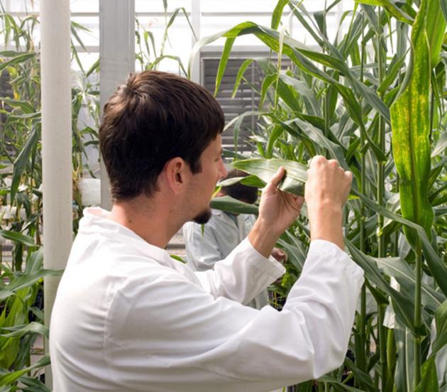 Innovations: US research triangle model touted