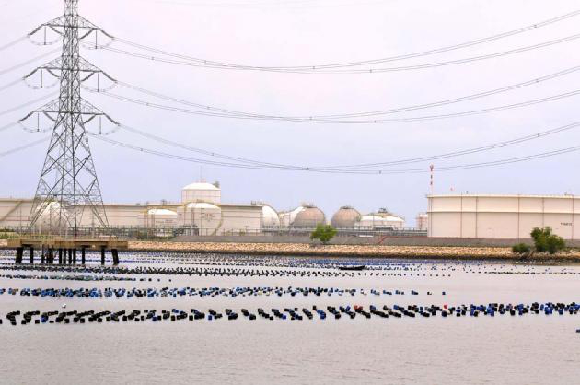 Conservationists call on govt to rethink on Dawei project