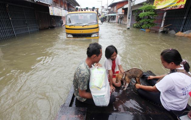 Seven bids for flood management