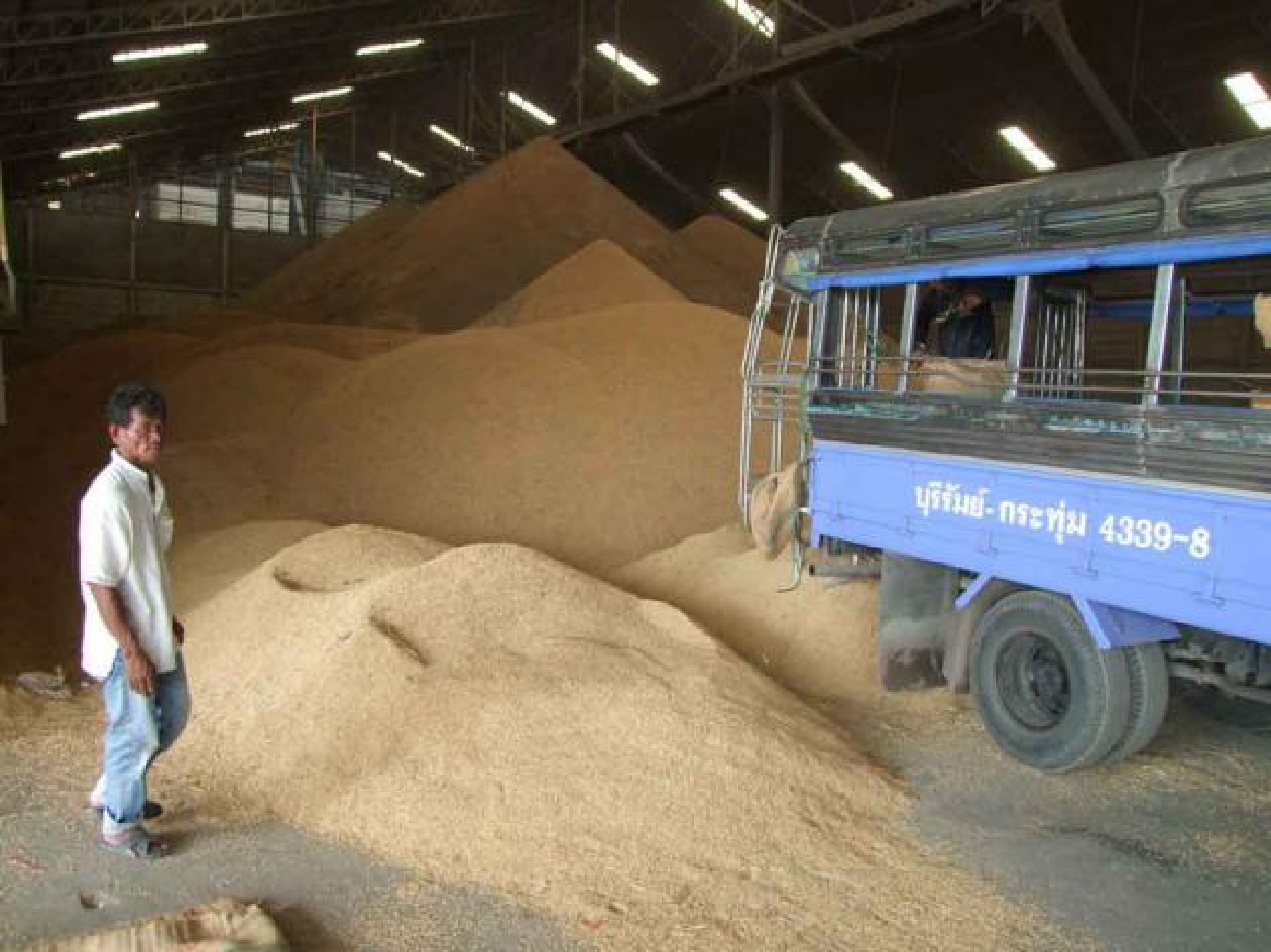Thailand's loses top rice exporter title