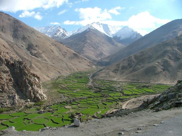 Bollywood films reflect improving Sino-Indian ties