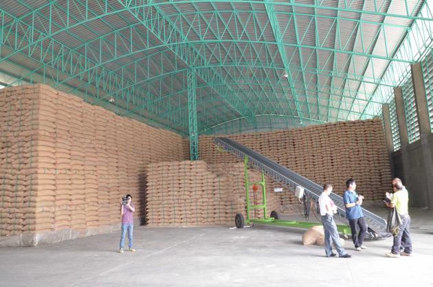 Rice scheme demonstrates populism's dark side