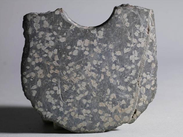 Stones open door to the dawn of Chinese culture
