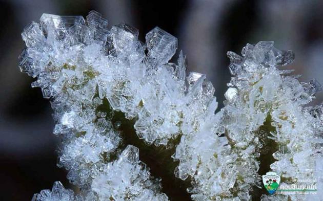 Two Chiang Mai districts declared cold-spell disaster zones