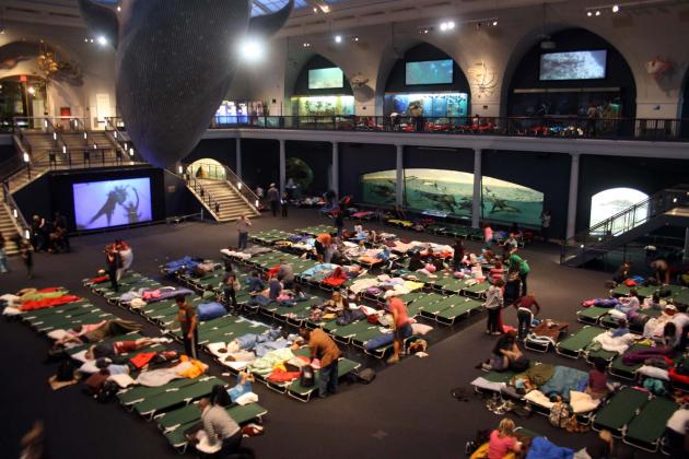 A night at the museum