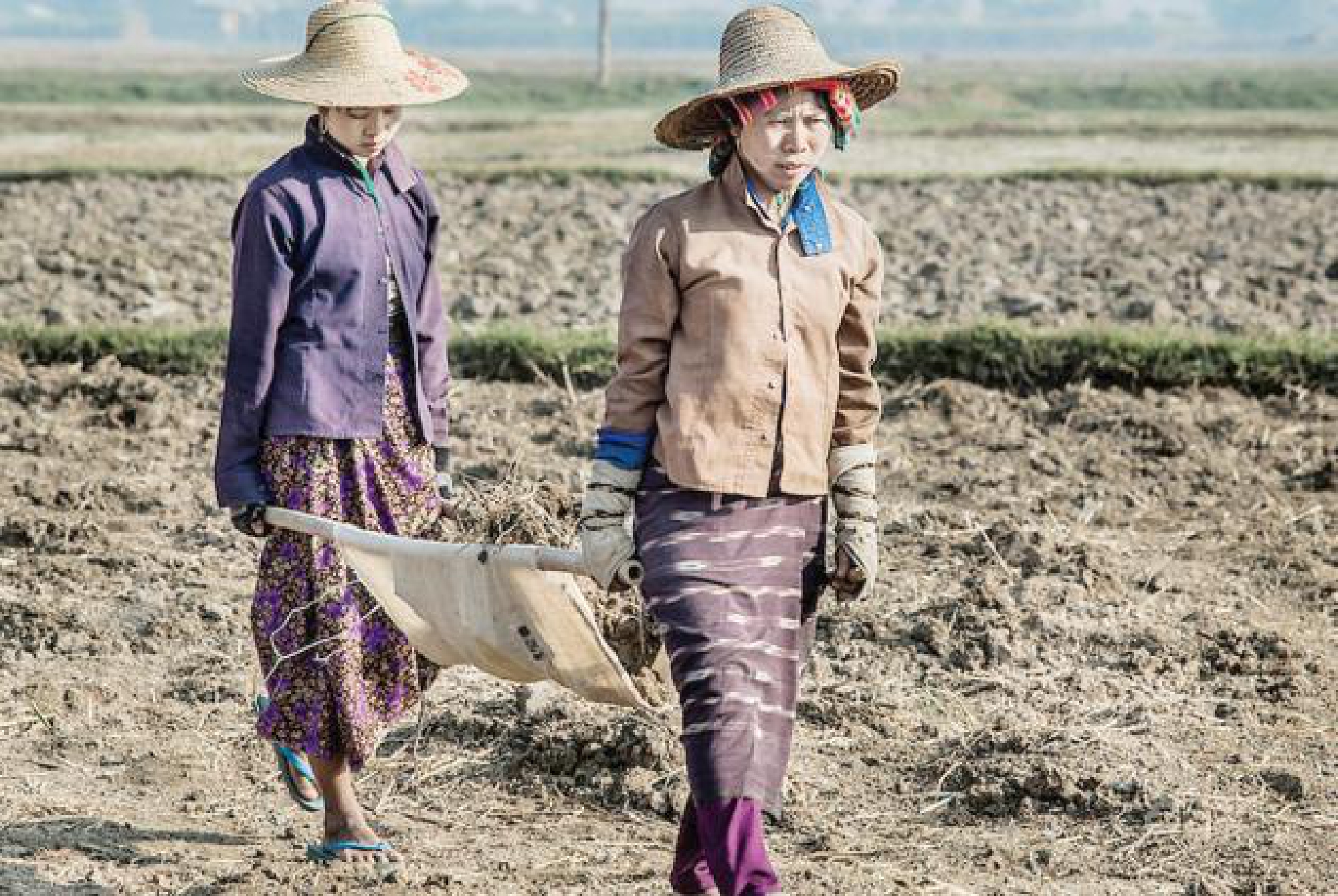 Most Myanmar migrants want to return home