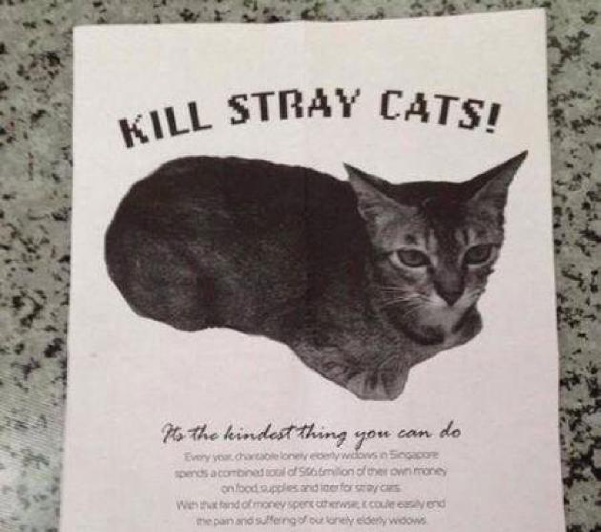 Singapore art collective defends "kill stray cats" flyer