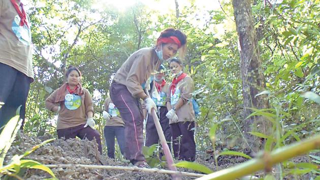 Illegal loggers target Khao Ang Ru Nai