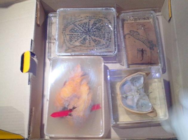 Sentence in body parts case may have been low