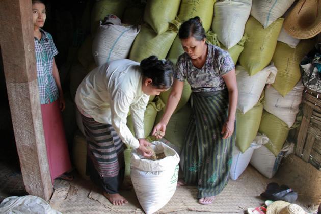Myanmar told to tackle rice price volatility