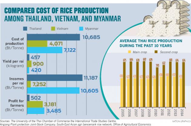 Analysts call for sustainable ways to help farmers, develop rice industry