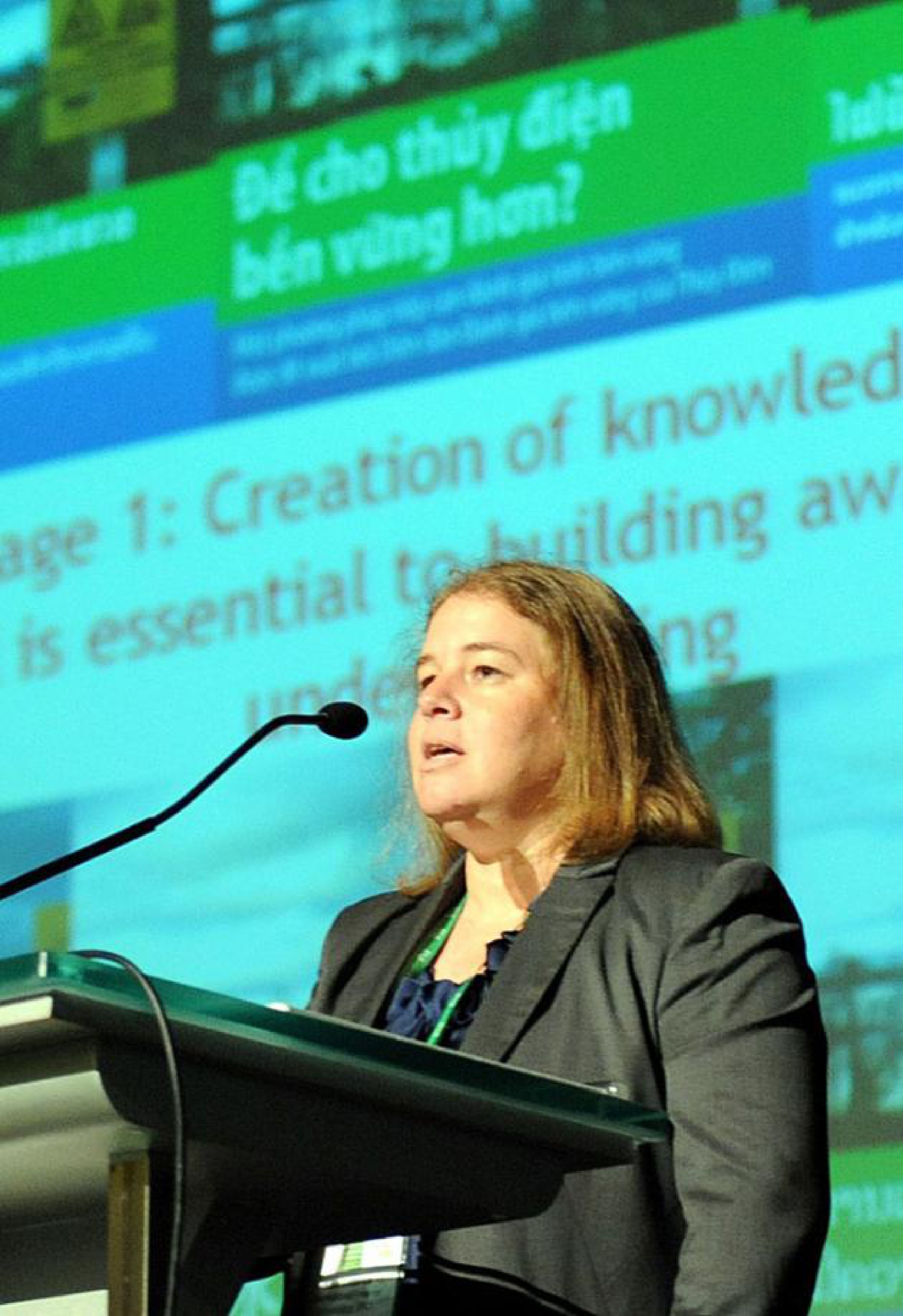 Overwhelming interest in sustainable hydropower practices