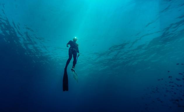 Dusit Thani Maldives has joined with globally renowned free-diving ...