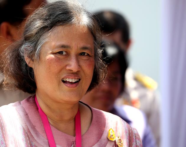 Princess to teach occasionally after retirement