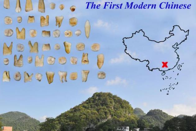 Scientists sink teeth into history of humans in Asia