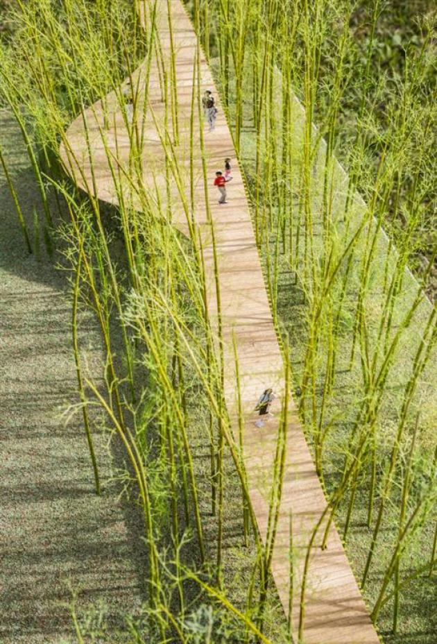 Floating over the DMZ