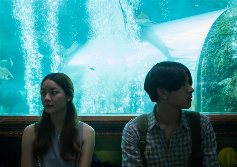 The pieces ‘Snap' into place