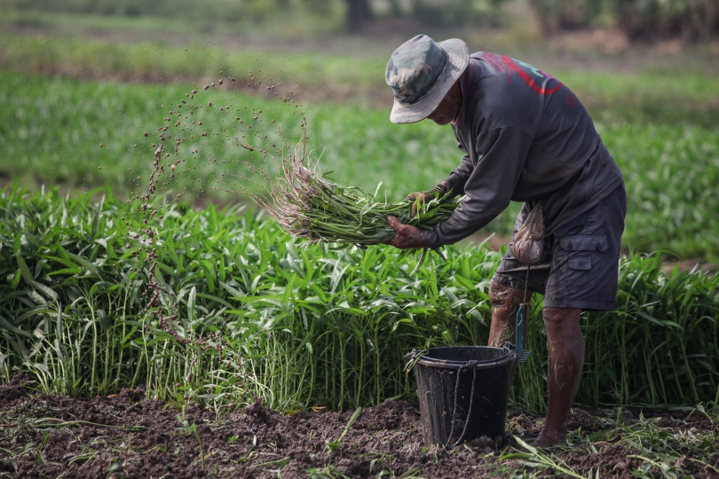 Debt crisis ‘to cause grief for more farmers’