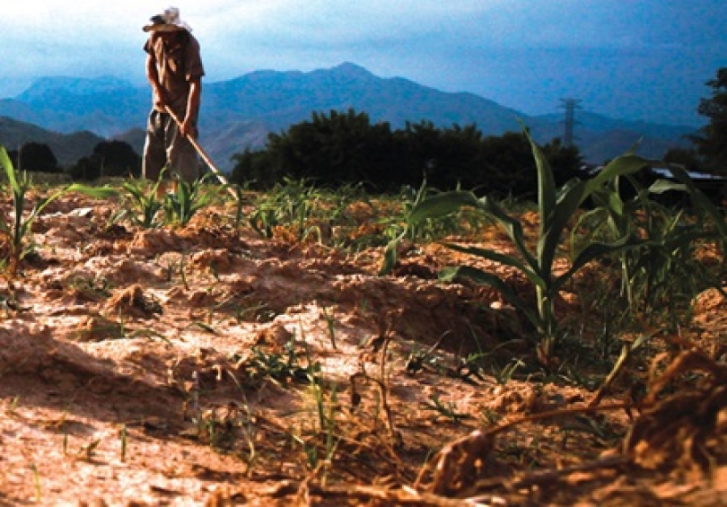 Vietnam outlines drought prevention plans for the parched south-central ...