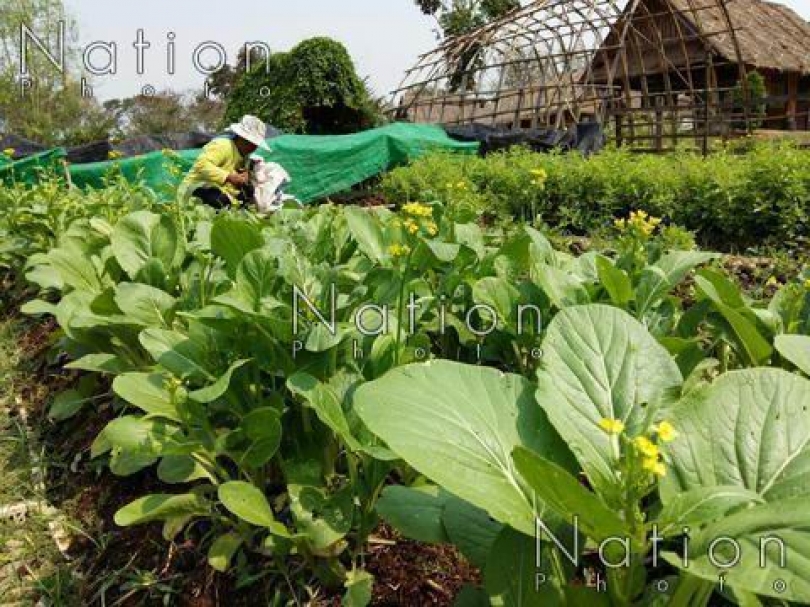 Sufficiency learning in one place