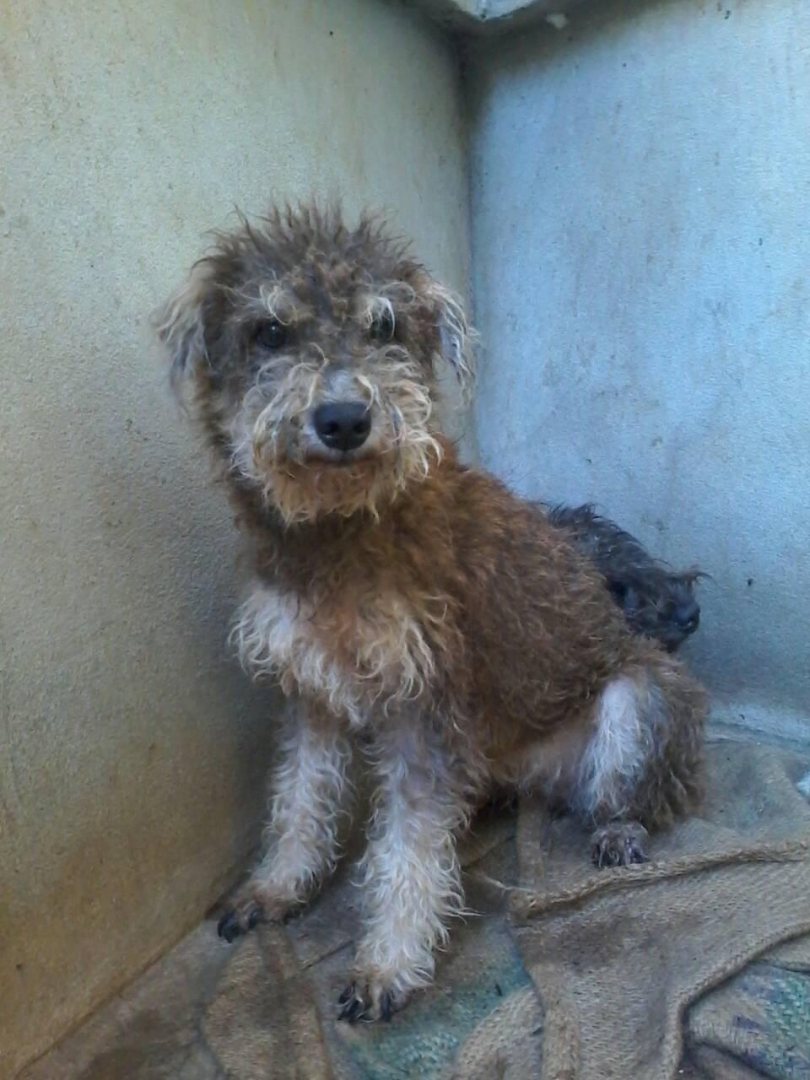 Pluses and minuses of social media