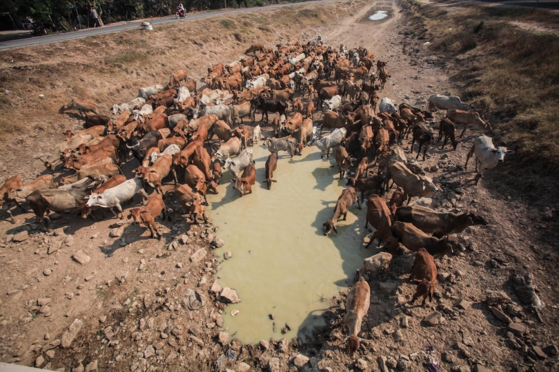 Dam’s ‘dead storage’ to be tapped