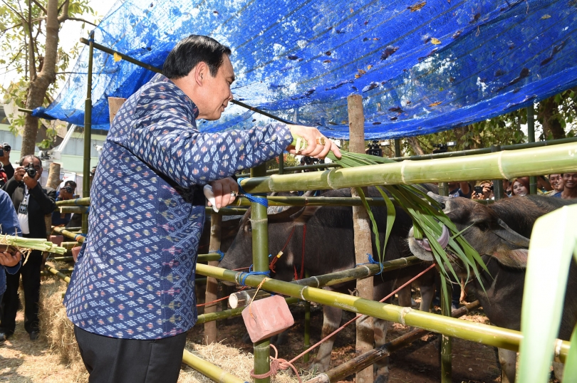 Agriculture still a priority for govt: PM