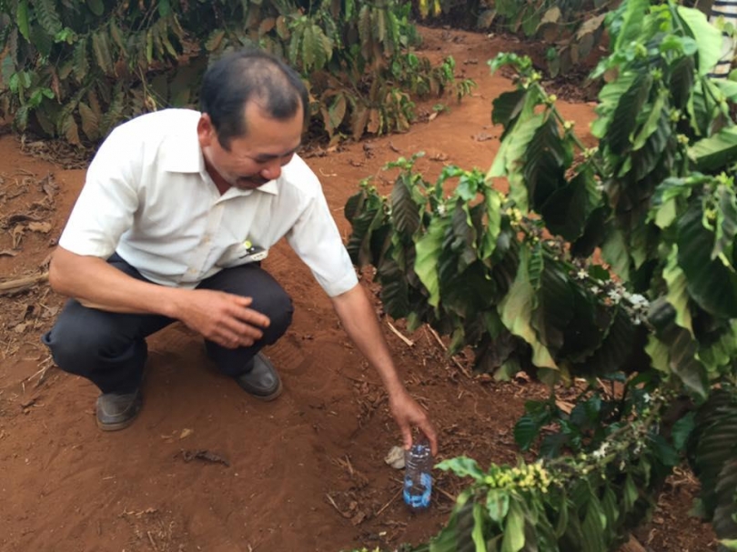 Drought makes coffee growers aware of water conservation in Vietnam