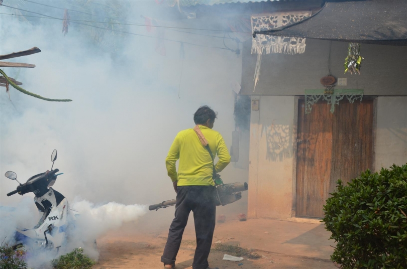 Dengue victims up by 19% this year: Bangkok official