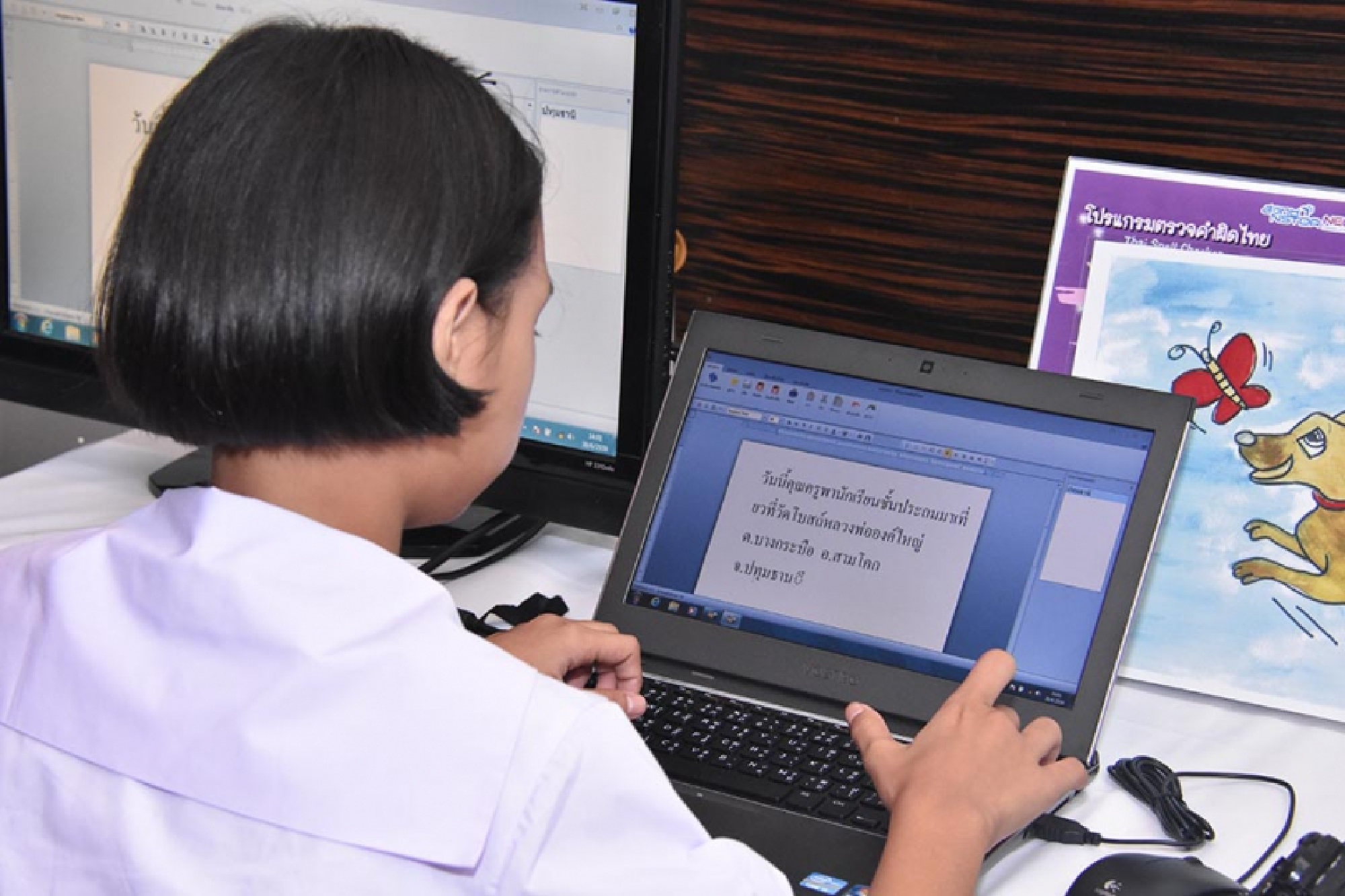 Language assistance software aids learning-disabled students