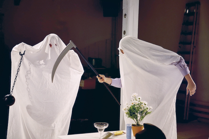 Documenting euthanasia