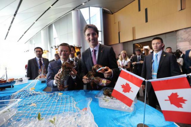 Alibaba chief seeks global e-trading platform