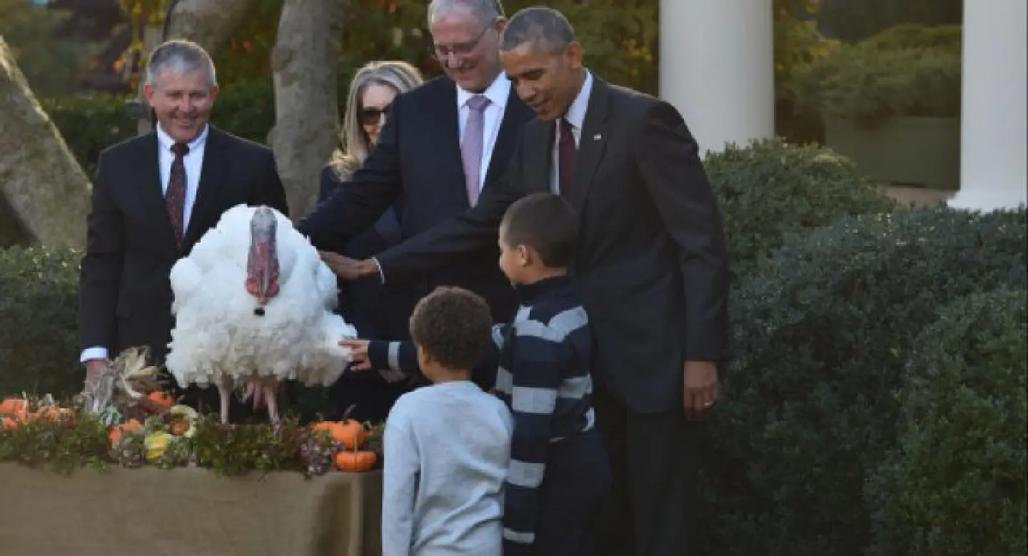 Obama pardons last turkey in Thanksgiving tradition