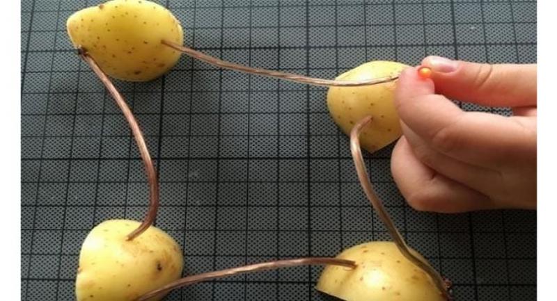 Scientists grow potato under Mars-like conditions in Peru