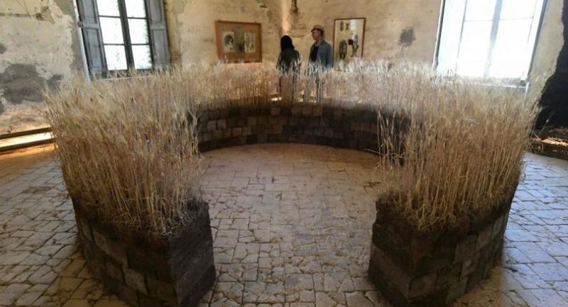 New museum reveals power of poo in Italy