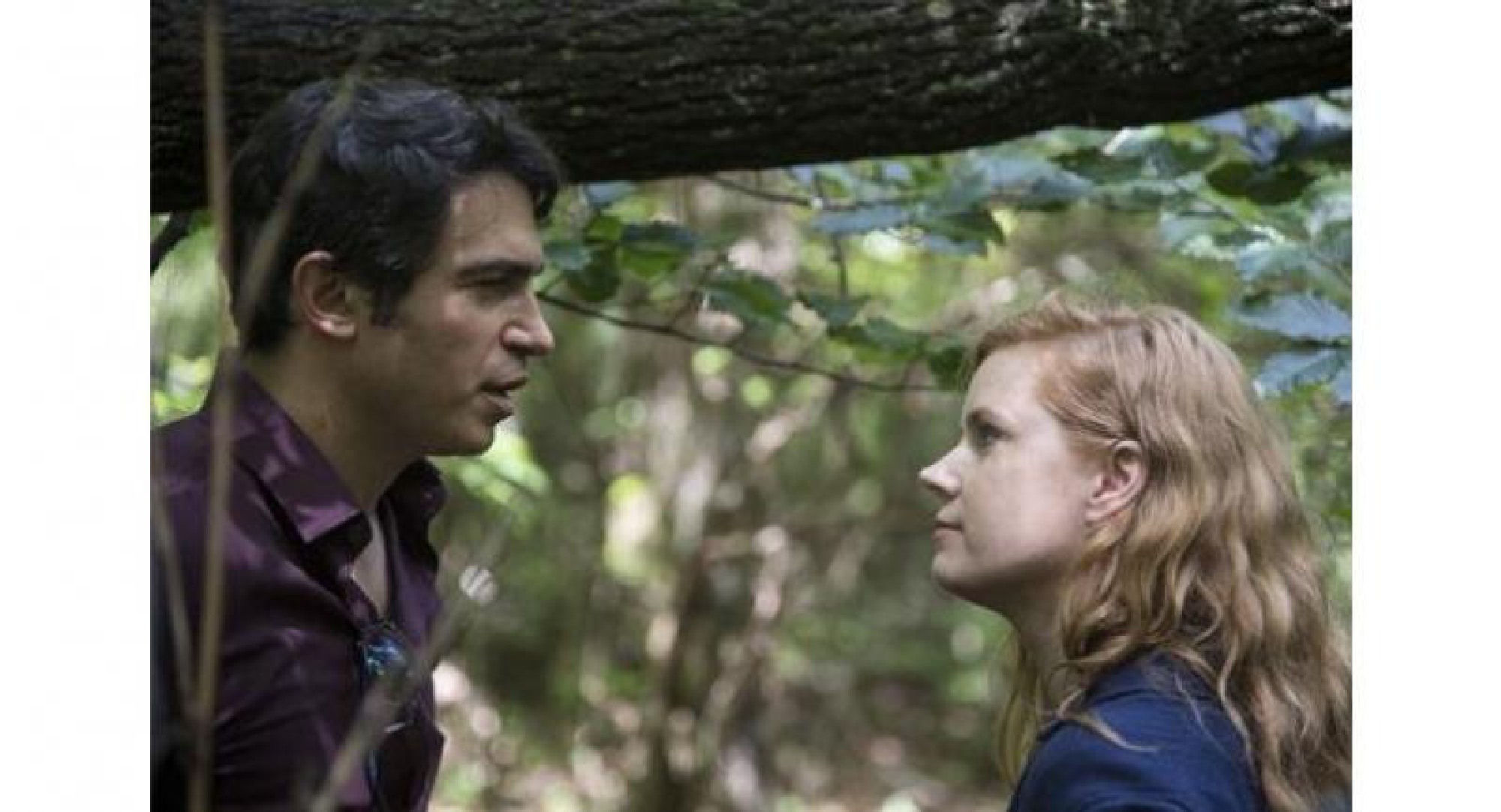 Nothing blunt about Amy Adams