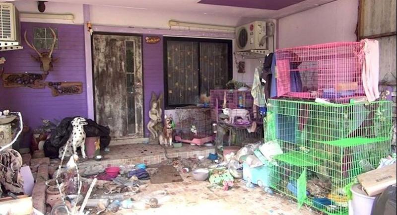 Pets left to die in seized home: official