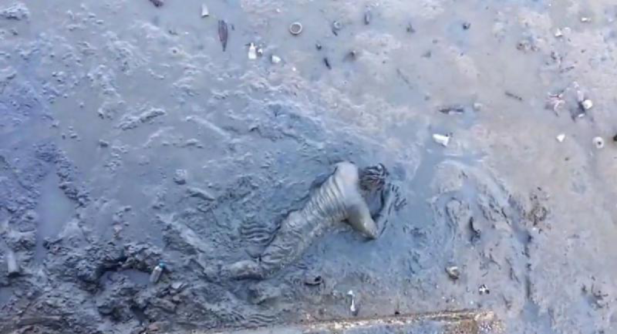 Man stuck in mud after falling from seaside road in Chon Buri