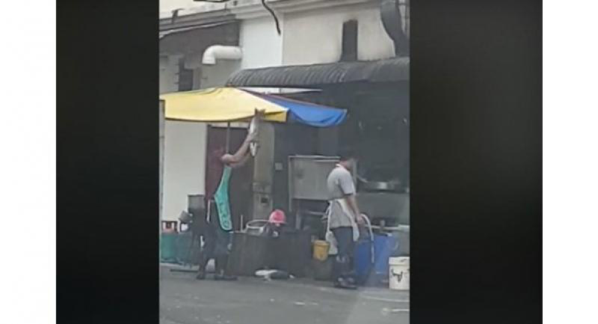 Worker caught in fish smashing act in back alley of Kota Kemuning ...