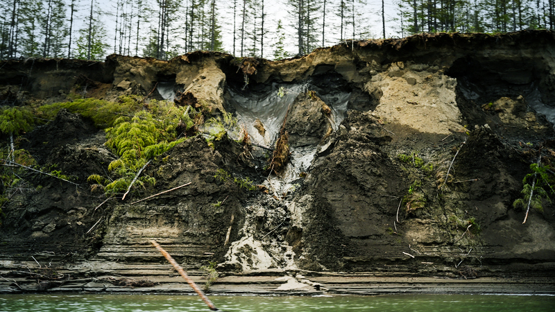 Washington Post wins Pulitzer Prize for climate series; New York Times ...