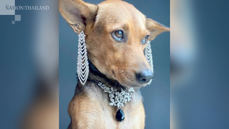 Diamonds are a dog’s best friend