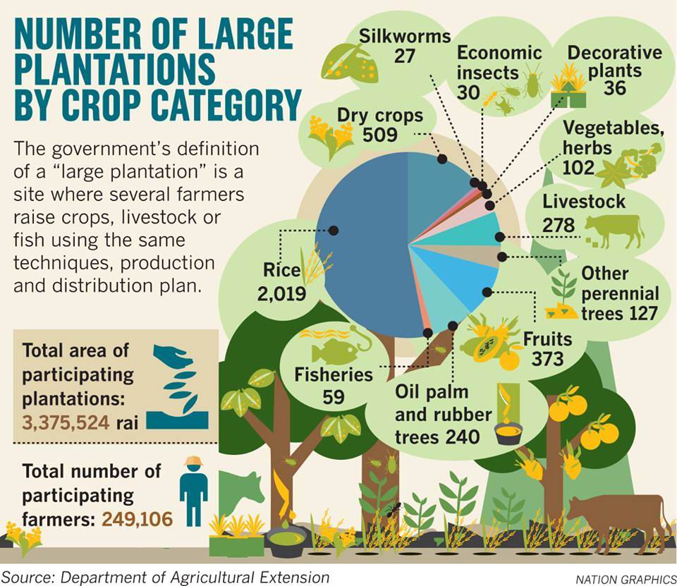 Plantation policy leaves farmers still powerless