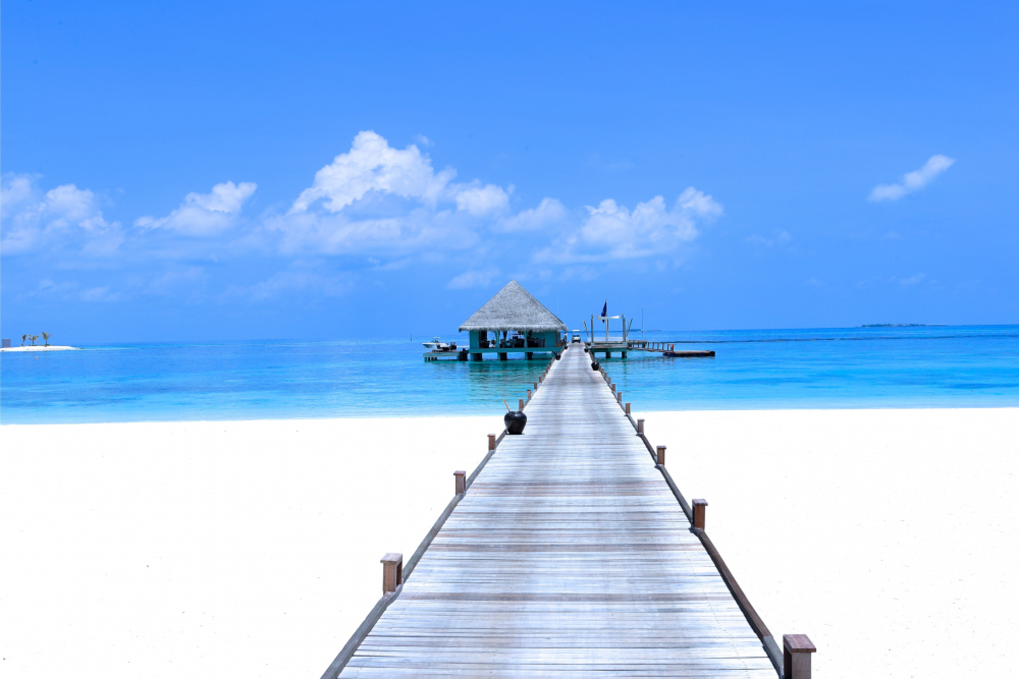 Chilling like a “gypsetter”