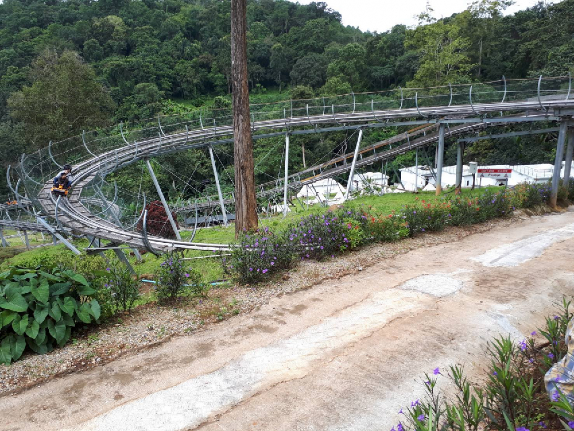 Chiang Mai zipline owner to face encroachment charges