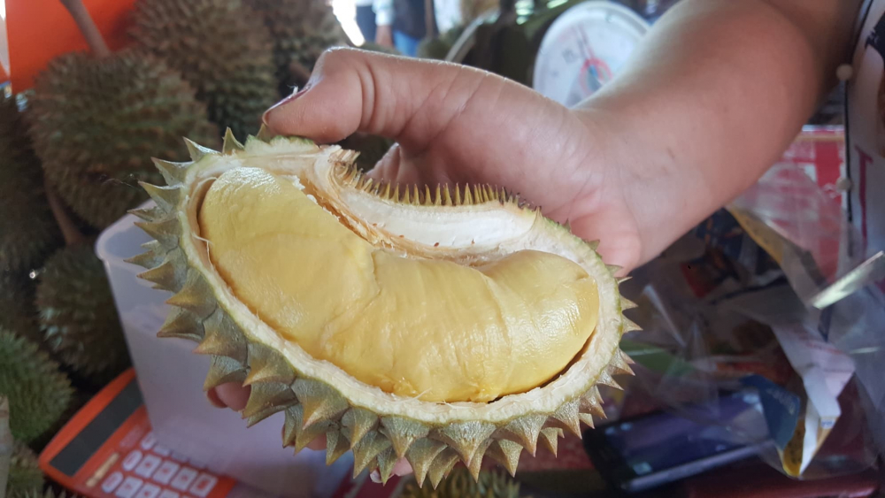 Thailand Post takes home-delivery orders for famous Long Lablae durians