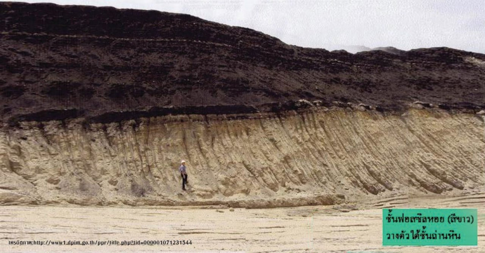 Top court invalidates ruling on fossil terrace