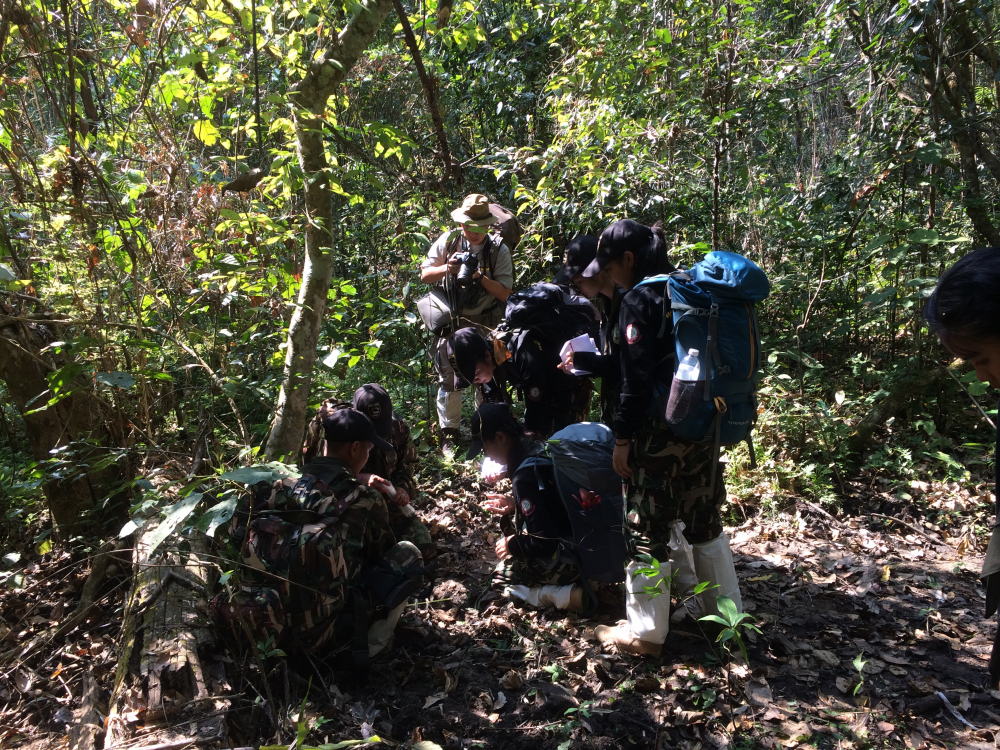 SPECIAL REPORT: 'Smart Patrol' key to saving forests