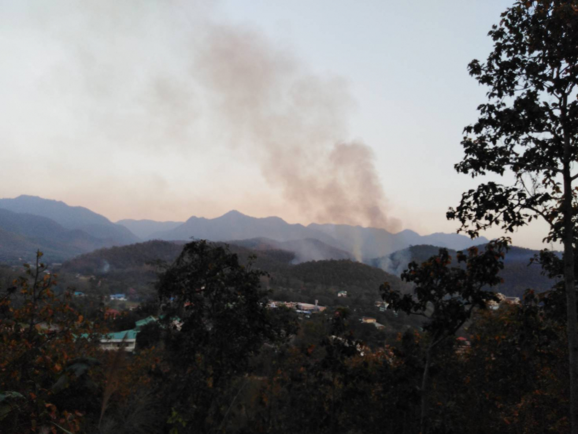 Ministerial officials in 9 northern provinces ordered to join forest ...