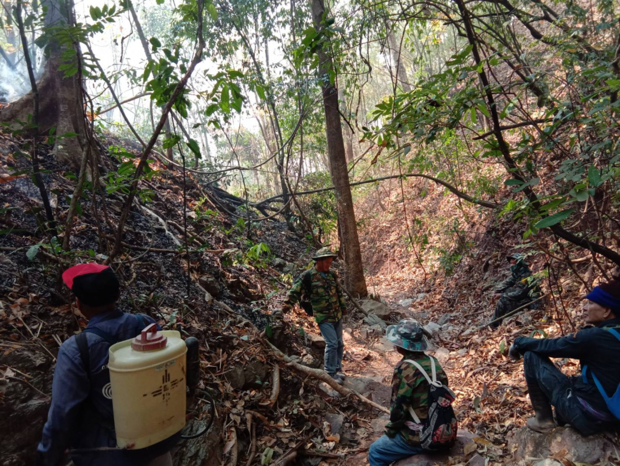 Peacock dies in forest fire